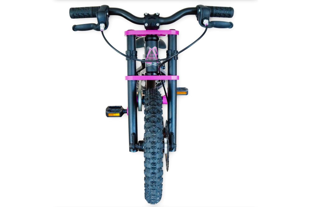 Alliance de la draisienne et du VTT
