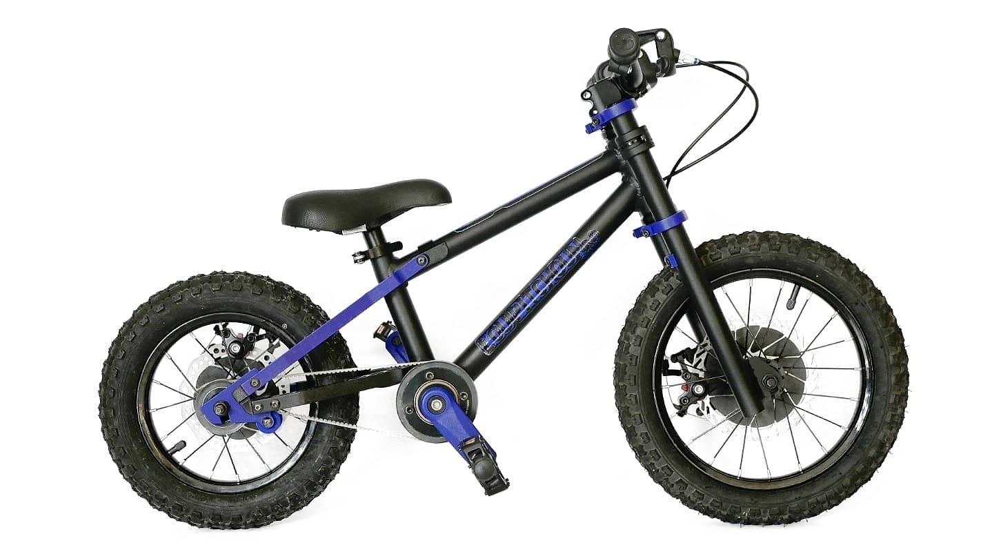 Alliance de la draisienne et du VTT